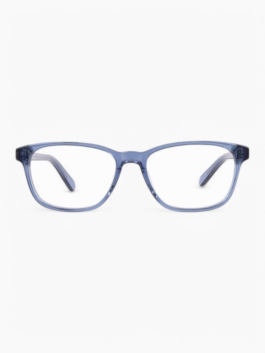 Berwick Pebble Blue Frame Spectacles | FINLAY