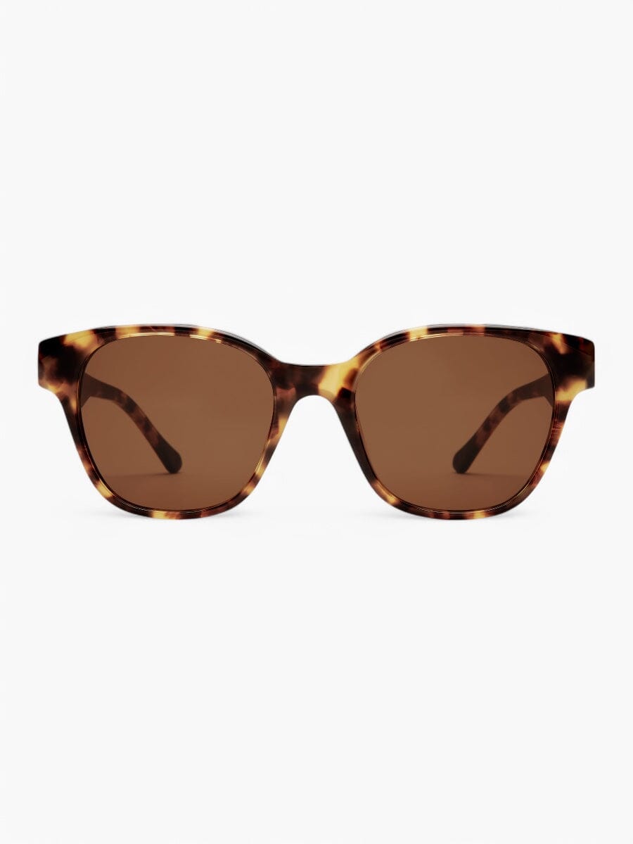 Vivian Burnt Havana with Brown Lenses Sunglasses | FINLAY